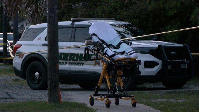FDLE opens investigation into officer-involved shooting in Port St. Joe ...