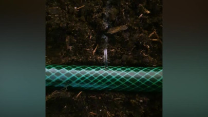 Astonishing Toothpick Tricks to Try at Home