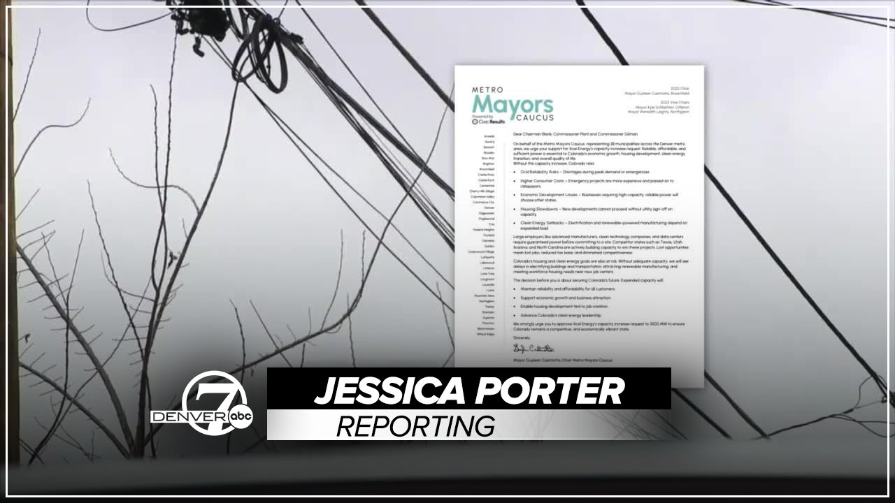 Metro Mayors Caucus gives support to Xcel's plan to modernize the state ...