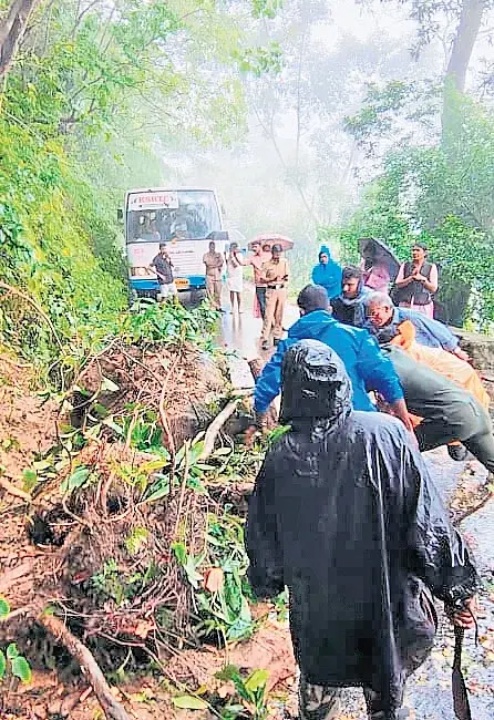 Ponmudi hill station shut down following landslip