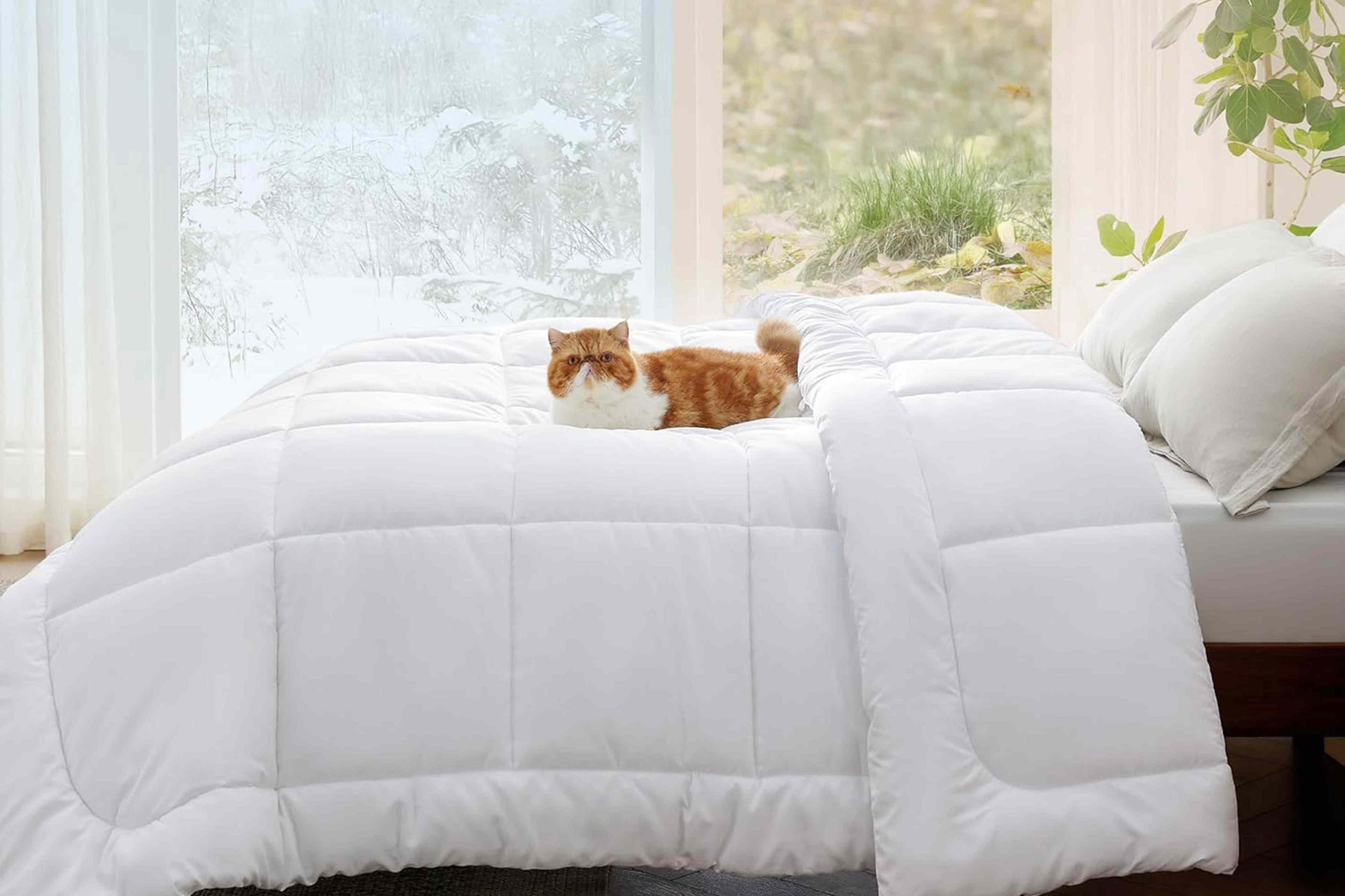 Amazon’s No. 1-Selling Comforter Is ‘Comfortable’ for Every Season ...
