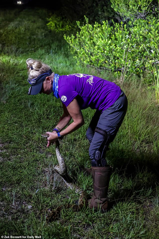 Realtor turned real-life Indiana Jones is hunting Florida's most ...
