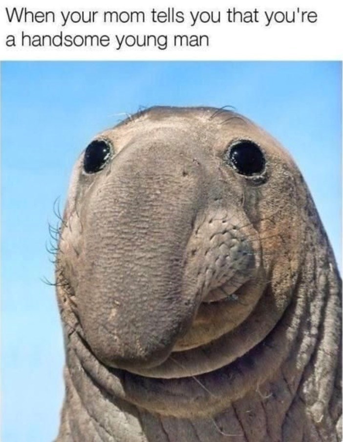 30+ Heartwarming Animal Posts to Fill Your Emotional Food Bowl to the ...