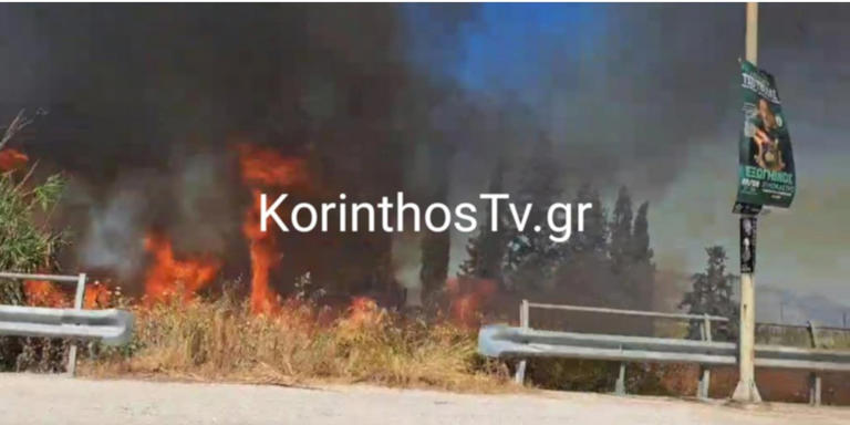 Φωτιά στο Περιγιάλι Κορινθίας – Ισχυρές δυνάμεις στο σημείο