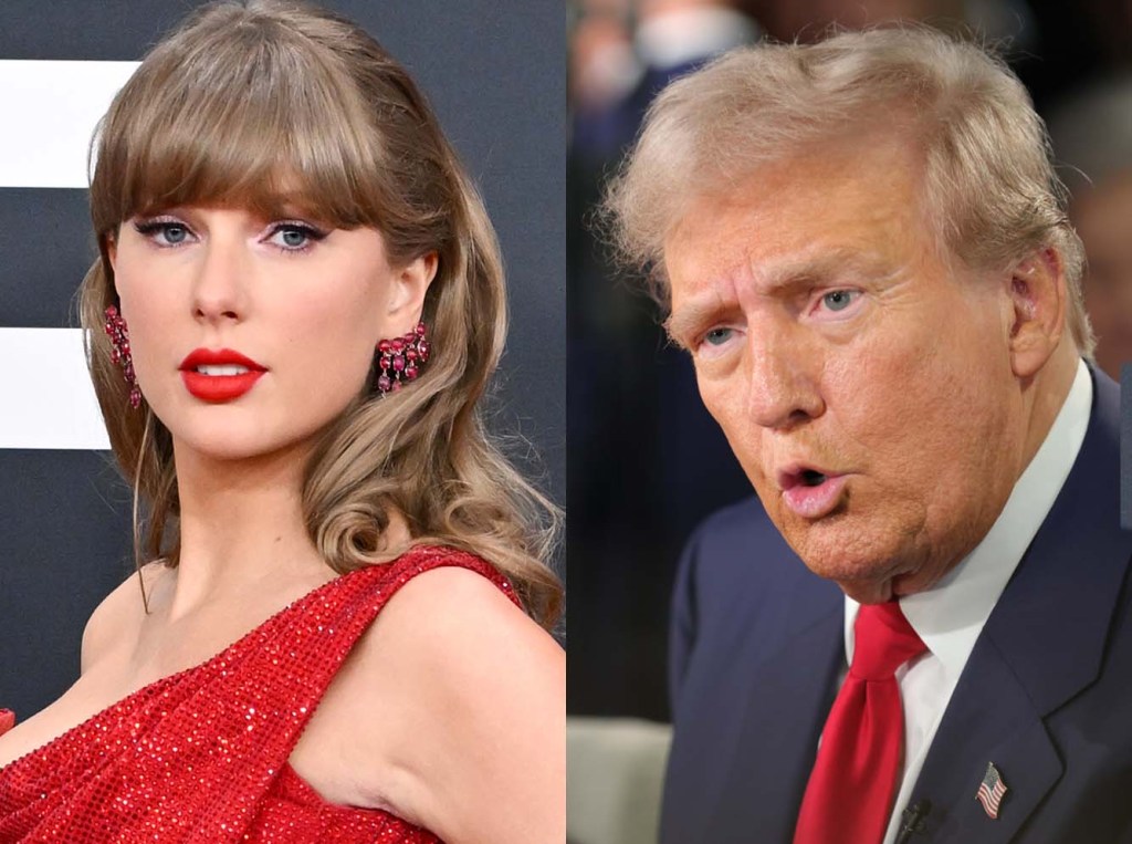 Taylor Swift Grabbed a Record Out From Under Trump & Swifties Call It Karma