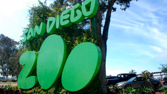 24-year-old Kalluk the polar bear dies at San Diego Zoo