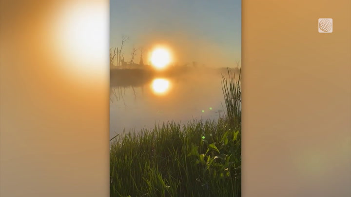 A serene misty morning view in Manitoba