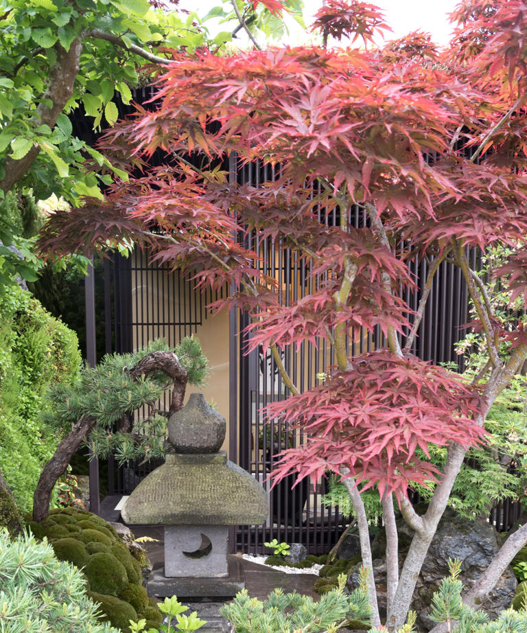 5 simple steps to creating a Japanese-inspired garden path – for a ...