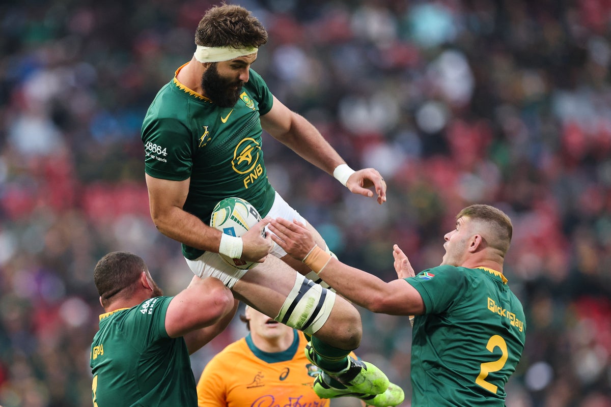 South Africa vs Australia live: Wallabies thrash Springboks in stunning ...