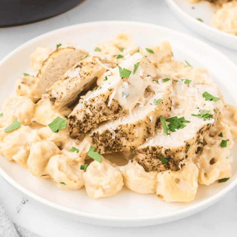20 best chicken breast recipes