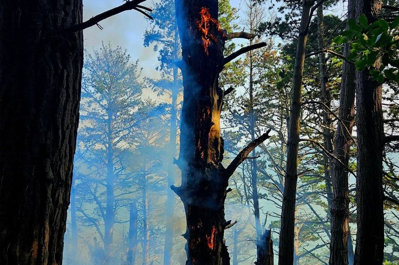Fire crews praised for fighting hundreds of wildfires