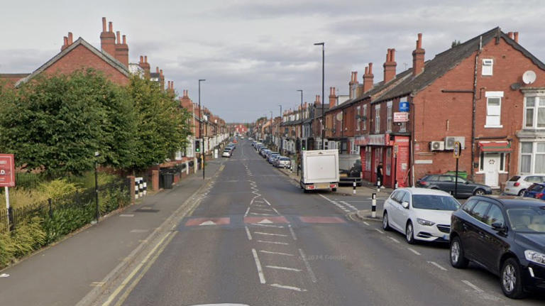 Sheffield driving: Speed bumps and 'segregated' crossing planned for ...