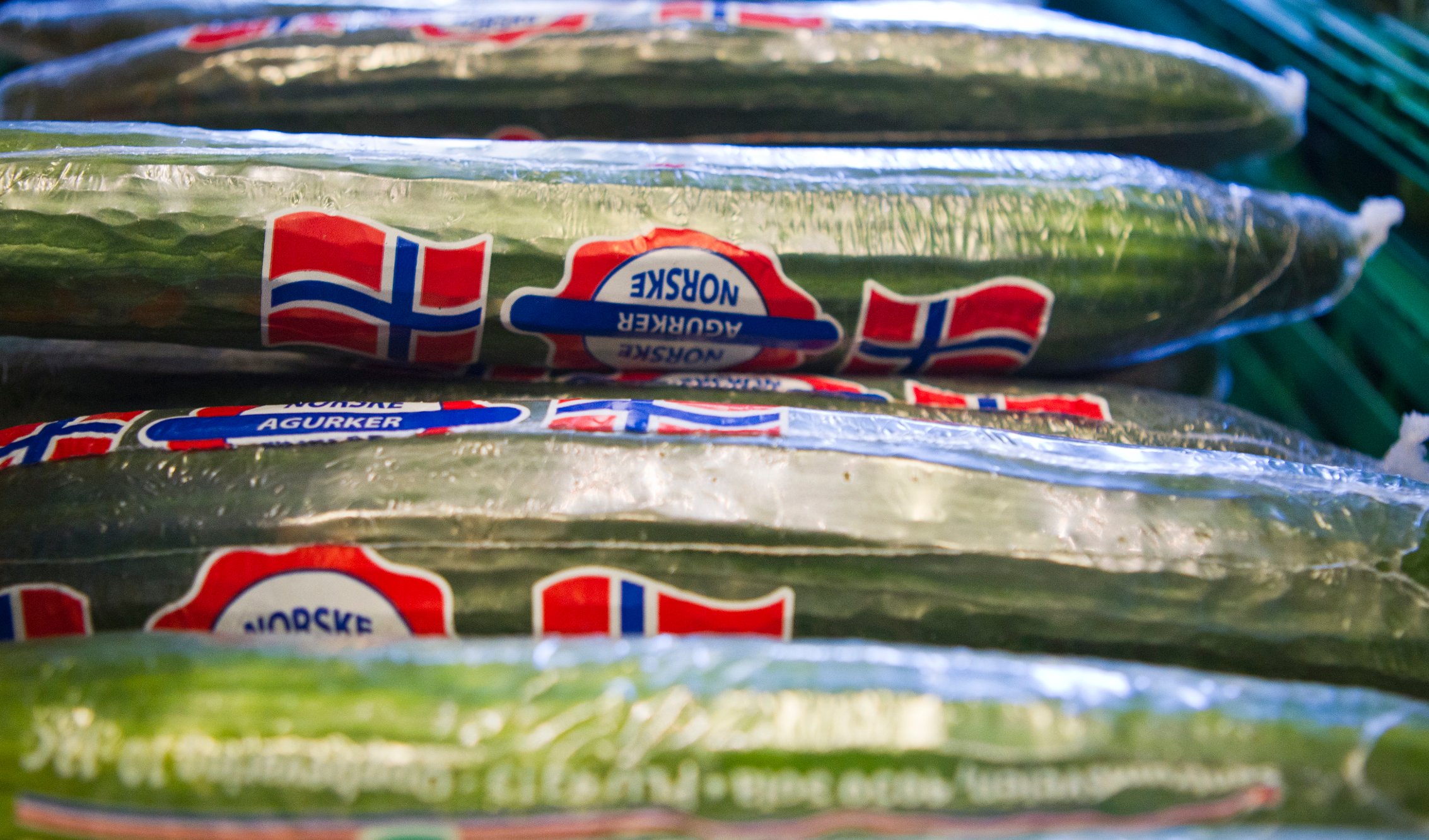 Norsk agurkmangel knyttes til Tiktok-trend: – Har tatt fullstendig av