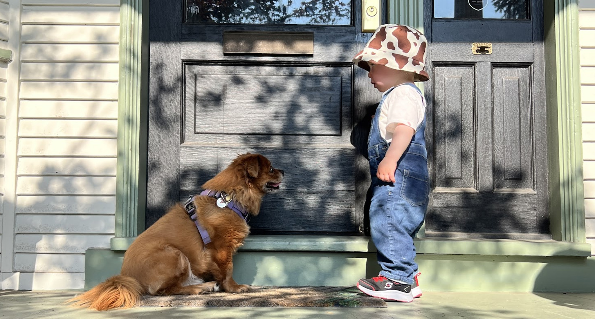 I Love Your Kids, But I Don't Want Them to Pet My Dog