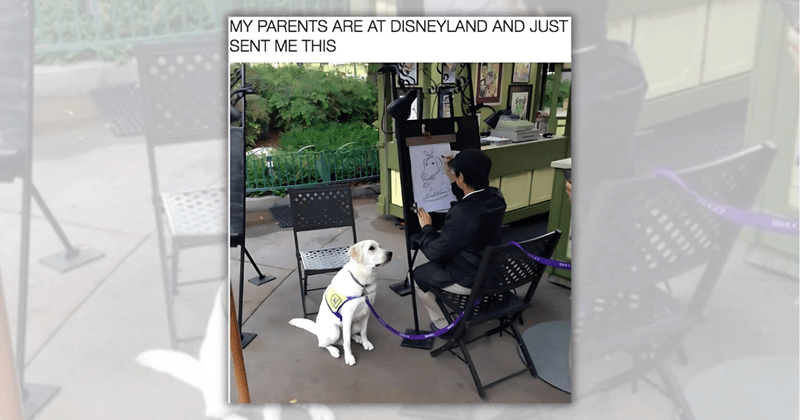 30+ Heartwarming Animal Posts to Fill Your Emotional Food Bowl to the ...