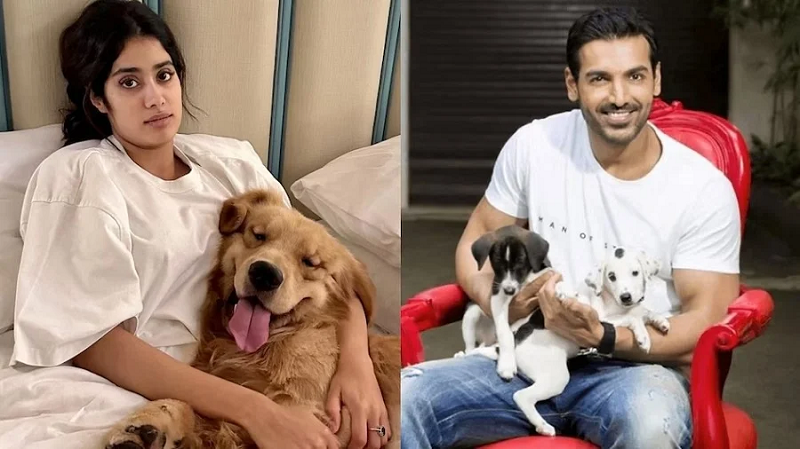 Entertainment News- These Bollywood celebs have these dogs, know about them