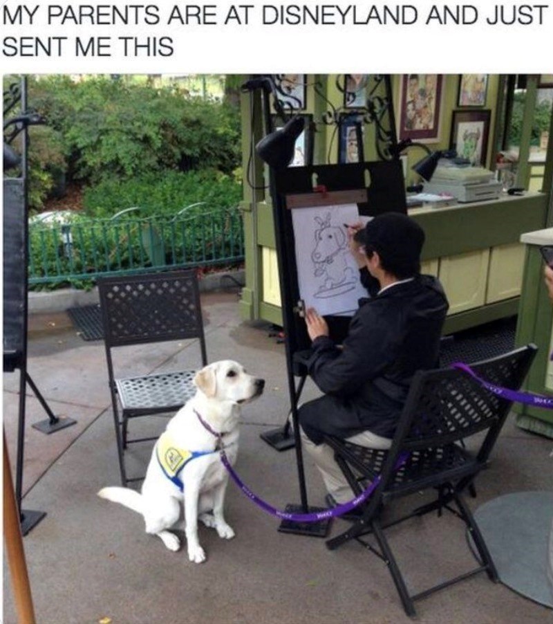 30+ Heartwarming Animal Posts to Fill Your Emotional Food Bowl to the ...
