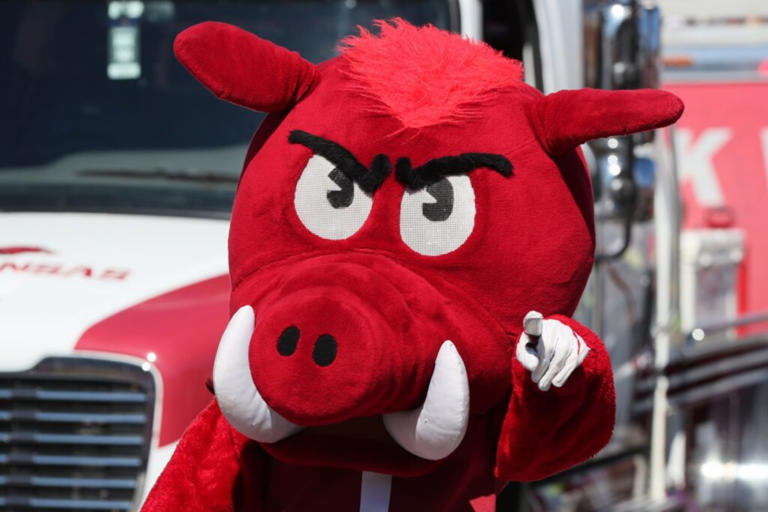 The Roar of the Razorbacks: Woo Pig Sooie