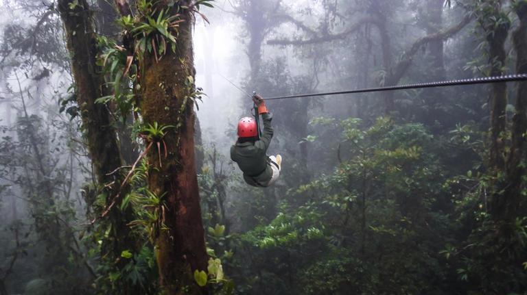 A Scenic Costa Rican Region Boasts Lush Cloud Forests & Mesmerizing ...