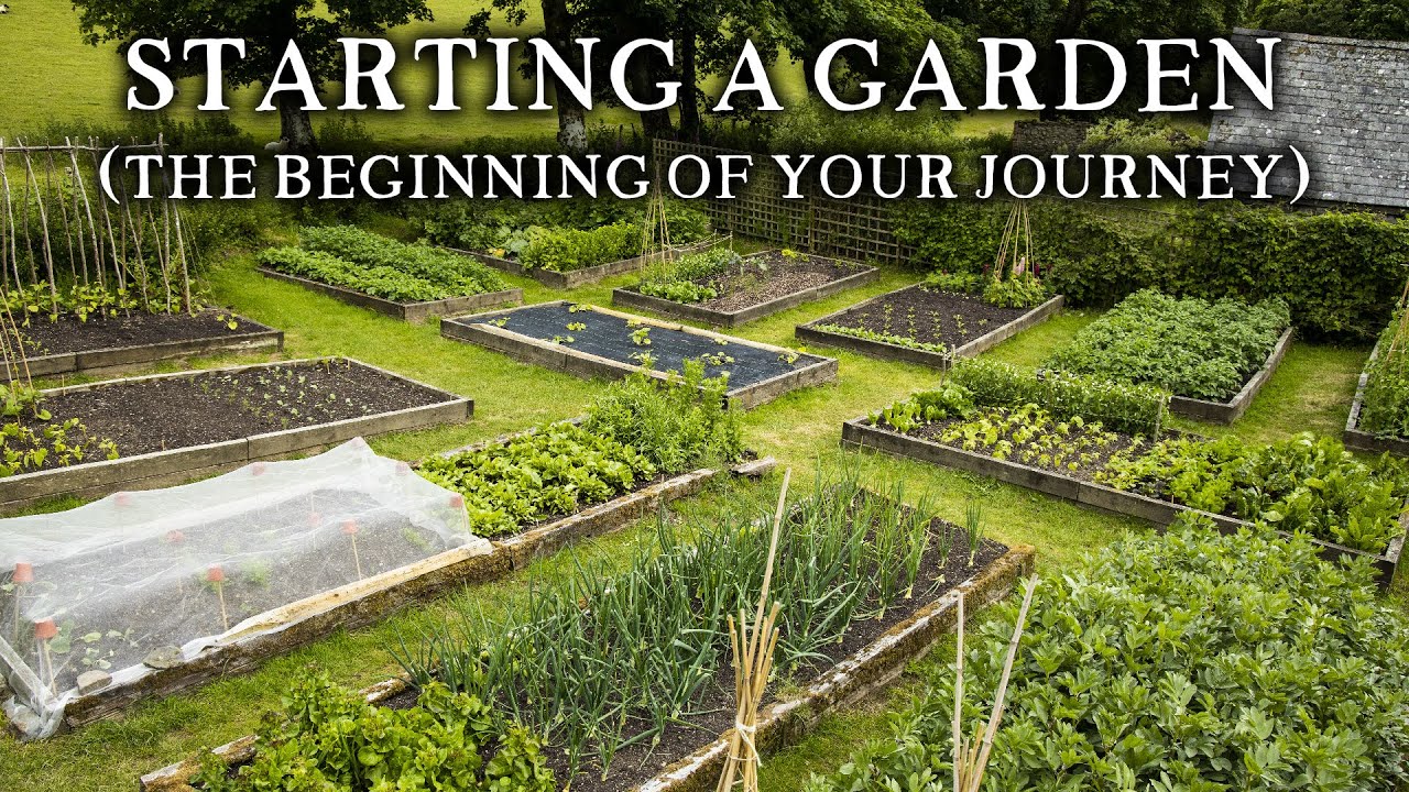 Vegetable Gardening | Straight Talk for People Starting to Grow Food