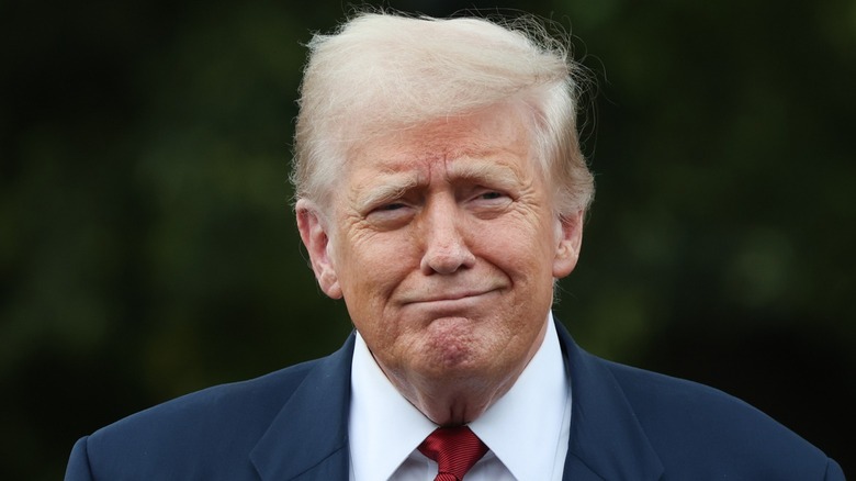 The Plastic Surgery Procedures Donald Trump Could Benefit From ...