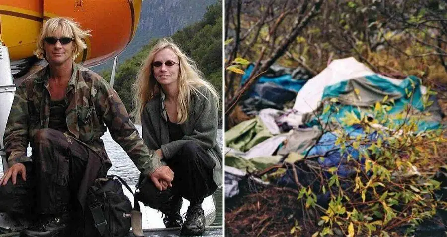 Casal é devorado por urso no Alasca e áudio revela momentos finais de ...