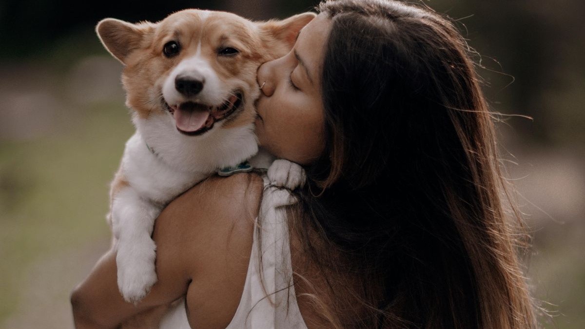 16 gestures your dog makes that demonstrate its unconditional love