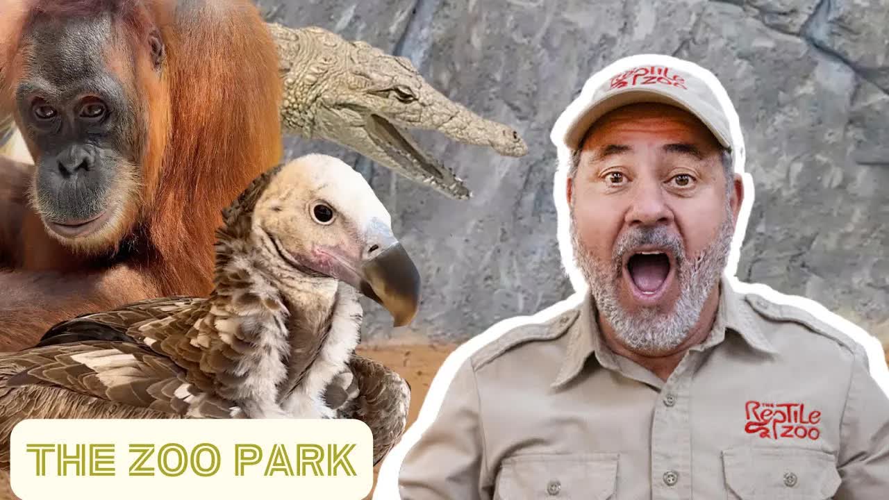VISITING THE ZOO PARK IN THE U.A.E!