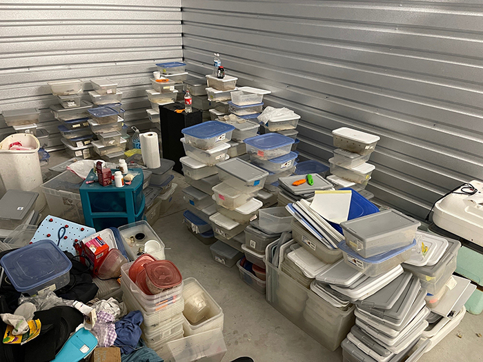 Florida man who abandoned 111 geckos in storage unit pleads guilty to ...