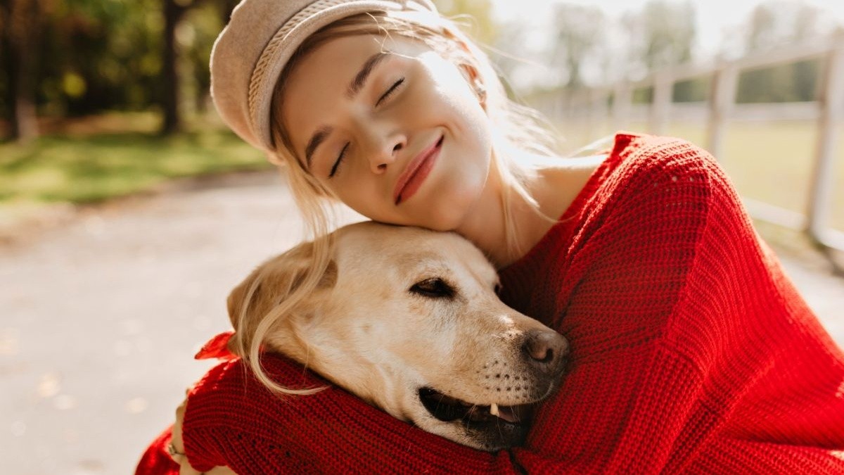 10 simple gestures that your dog appreciates more than you imagine