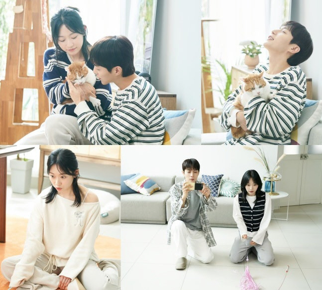 Yoon Doo-joon and Kim Seul-ki, Divorce War Over Cats...'Nyang-yuk-kwon ...