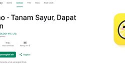 Aplikasi Lemo: Review dan Cara Cairkan Rp200.000 ke DANA dengan Mudah