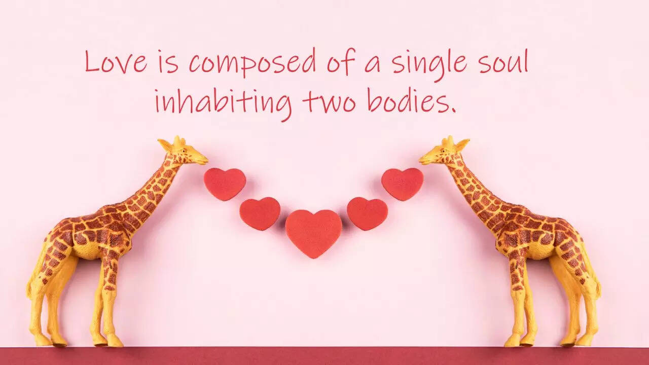 Love in words: Romantic quotes that aren’t cheesy