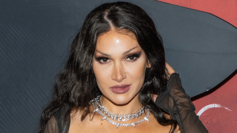 Matt Hardy: Meet The WWE Legend's Wife