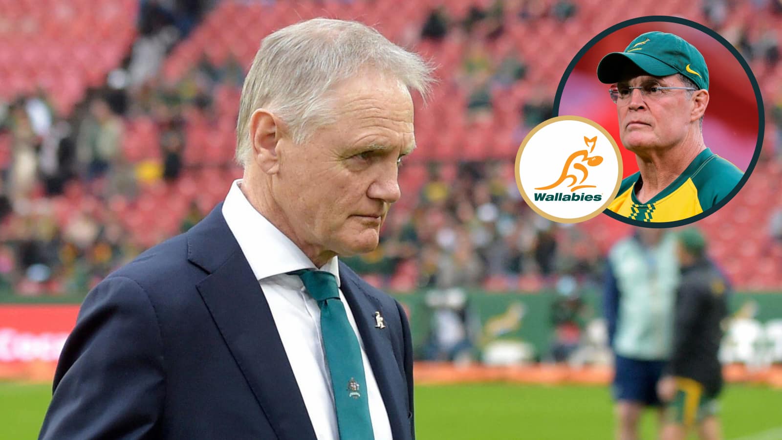 Joe Schmidt predicts Springboks ‘backlash’ after Rassie Erasmus’ side ...