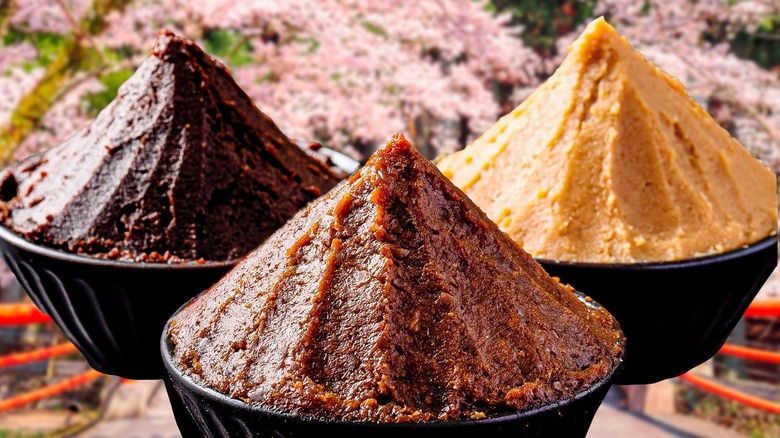 The Ultimate Guide To Miso