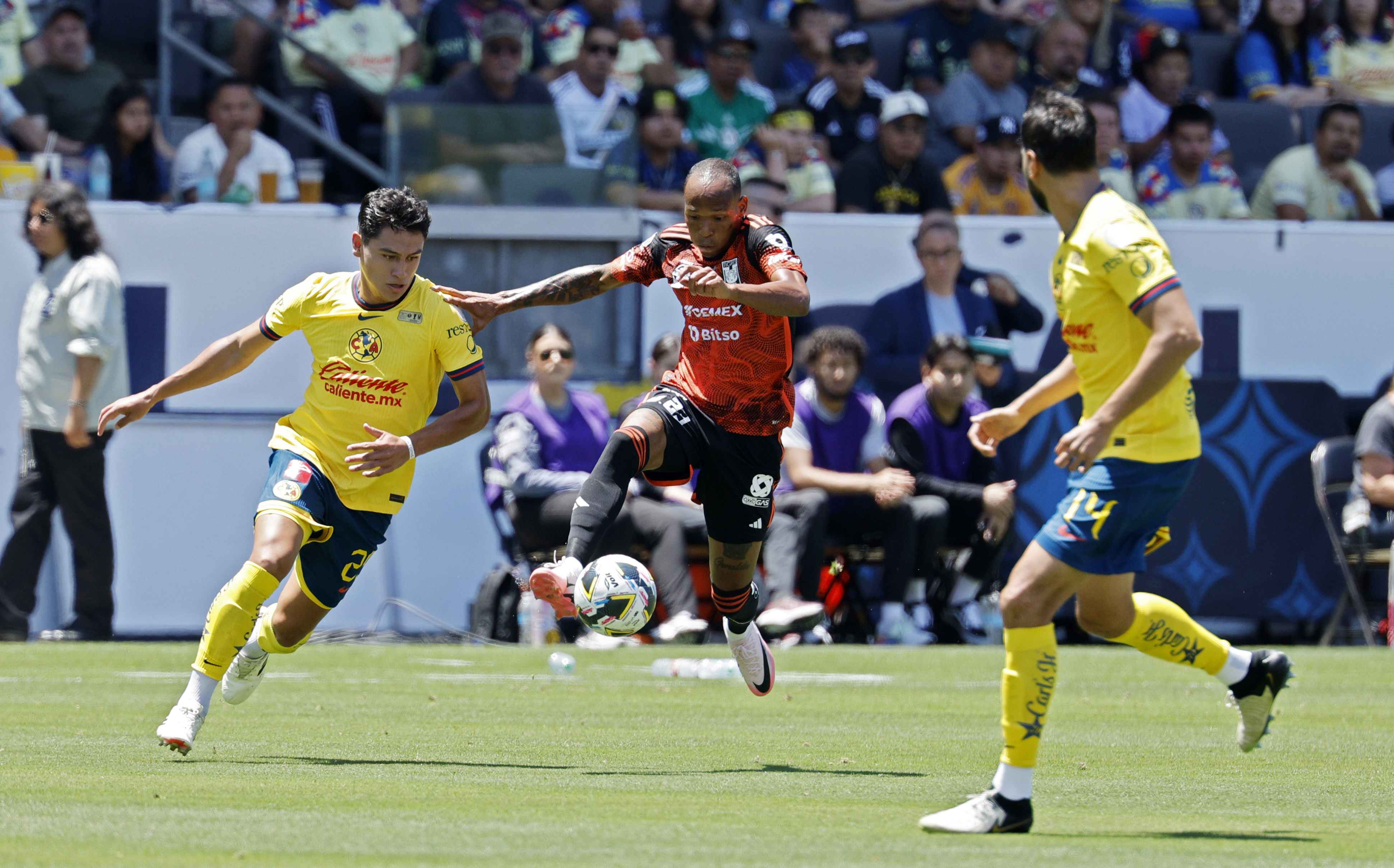 How to Watch Tigres UANL vs Club América: Live Stream Liga MX, TV Channel