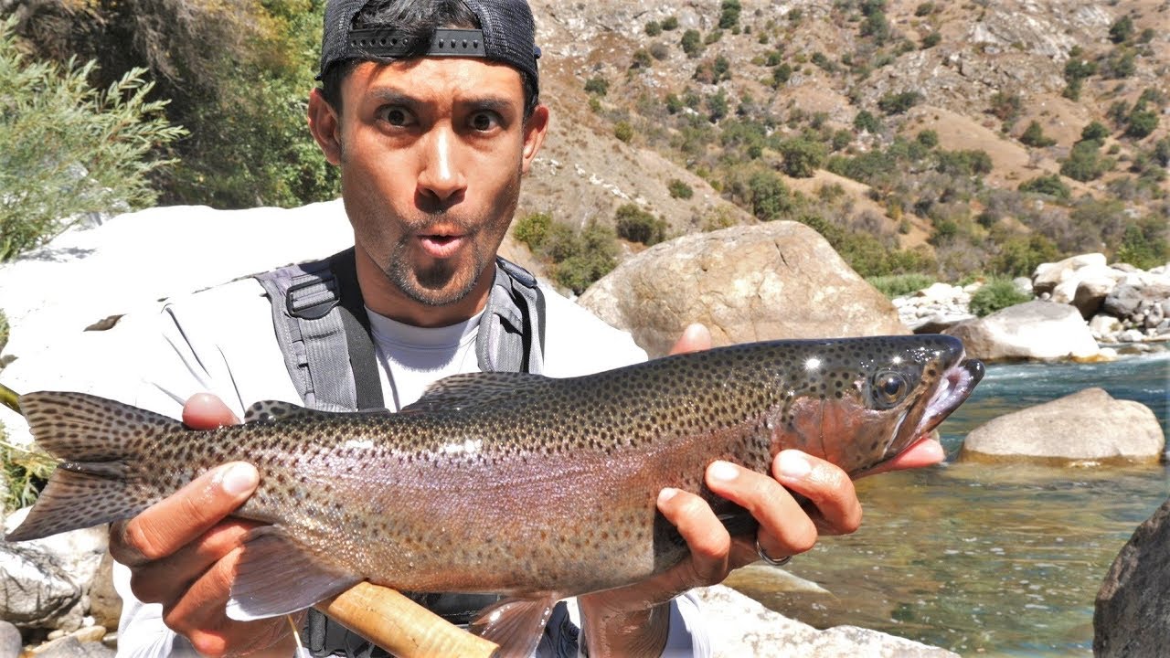 A Solo Trip: Fishing, Biking, and Camping in the Countryside