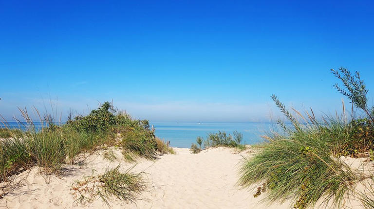 Indiana's Most Beautiful Islands Offer Sun-Drenched Shores, Lush ...