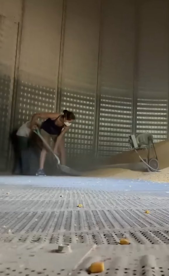 Hand Shoveling Out A Grain Bin
