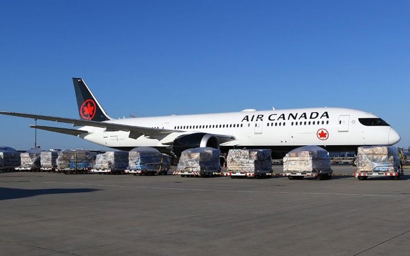 Air Canada flights remain grounded as Canadian government intervenes to ...