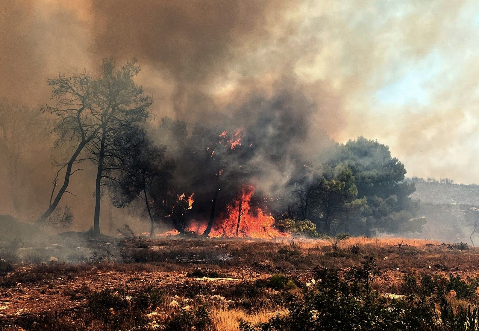 Τι να προσέχουν οι πολίτες για τις πυρκαγιές - Οι ποινές για τους παραβάτες