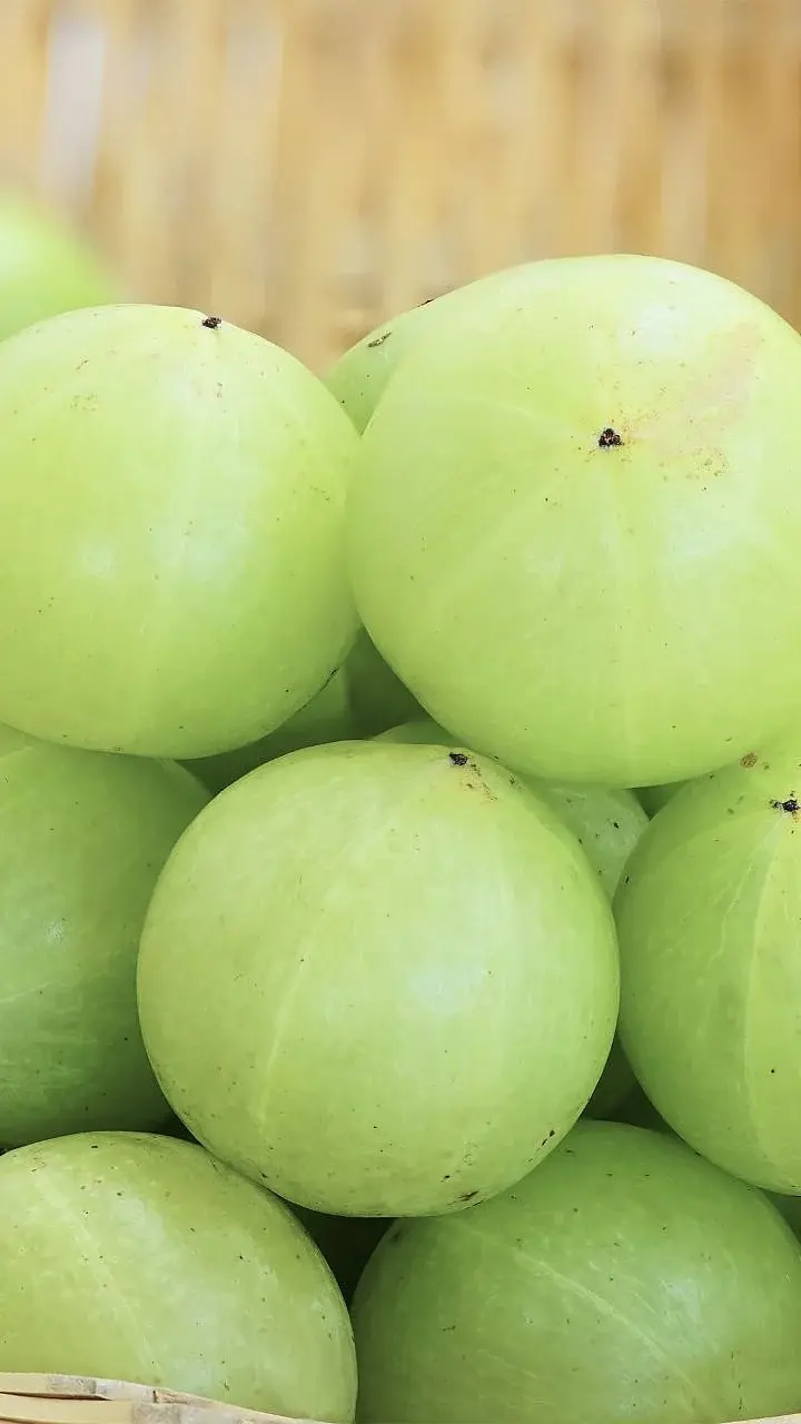 Amla side effects : 'या' लोकांनी खाऊ नये आवळा, नाहीतर होतील गंभीर परिणाम