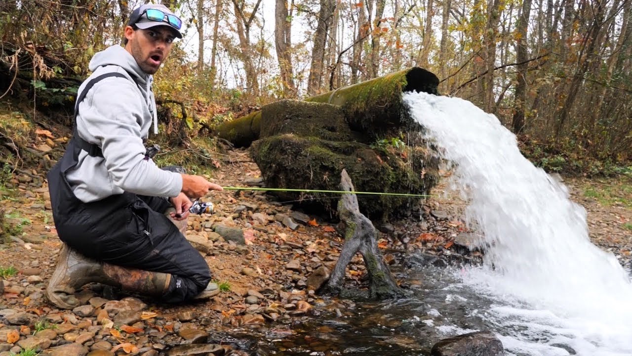 Never thought to fish here: Rainbow trout catch and cook