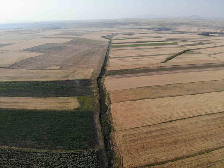 Kars’ta tarım arazileri halı deseni gibi rengarenk