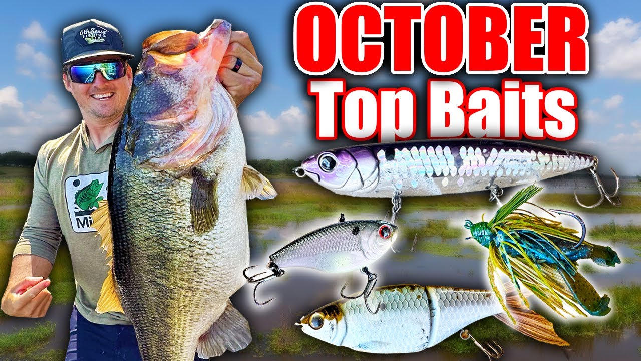 Top five bass fishing baits you need for October