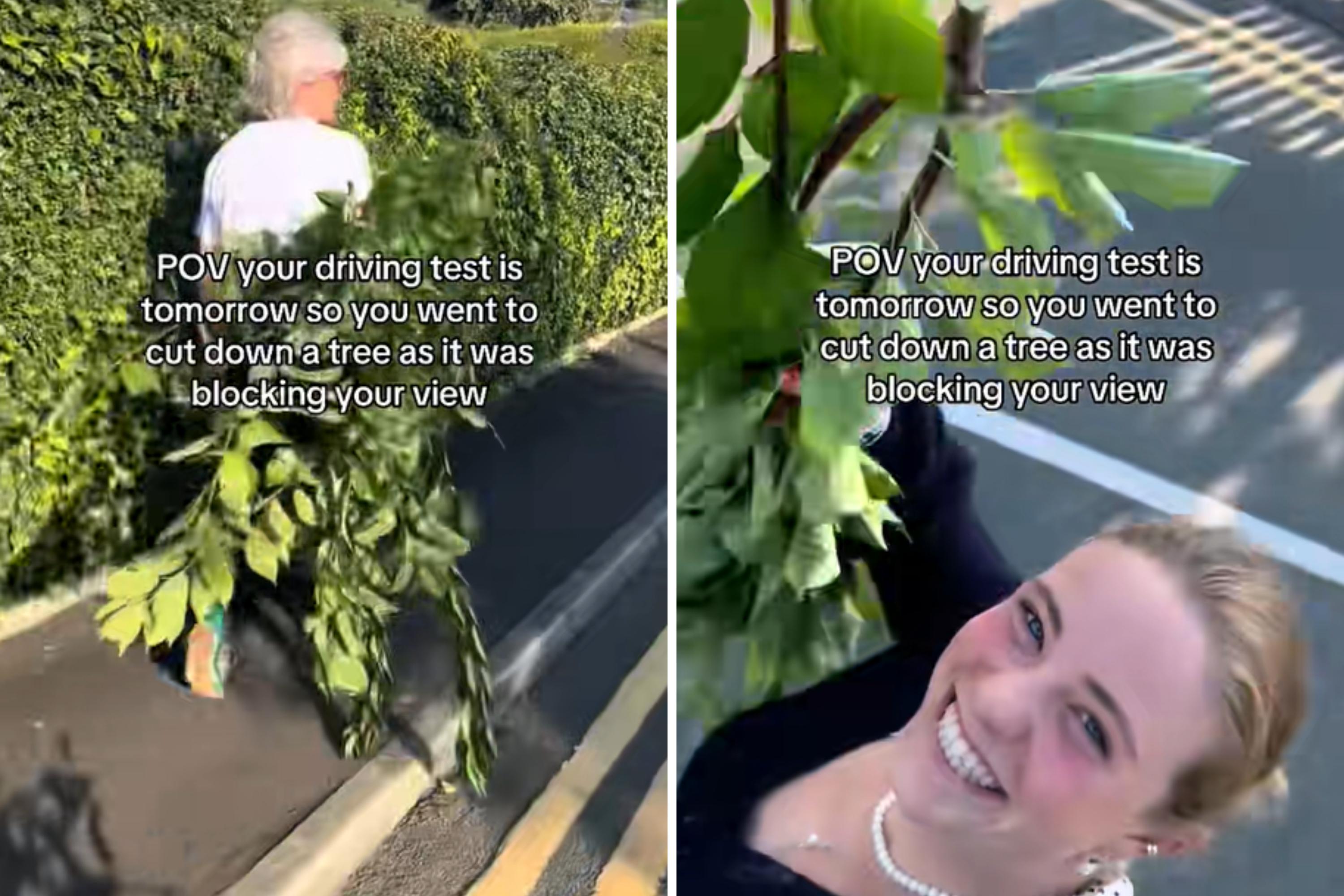 Gen Z woman fears tree will ruin driving test—she and her mom get to work