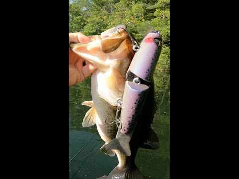 Big fish actually attack this lure during fight
