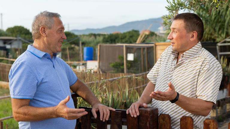 What To Do If Your Neighbor's Tree Roots Are Invading Your Yard