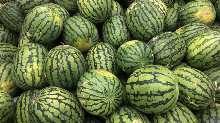 How To Pick A Watermelon Using One Simple Clue Based On Its Skin